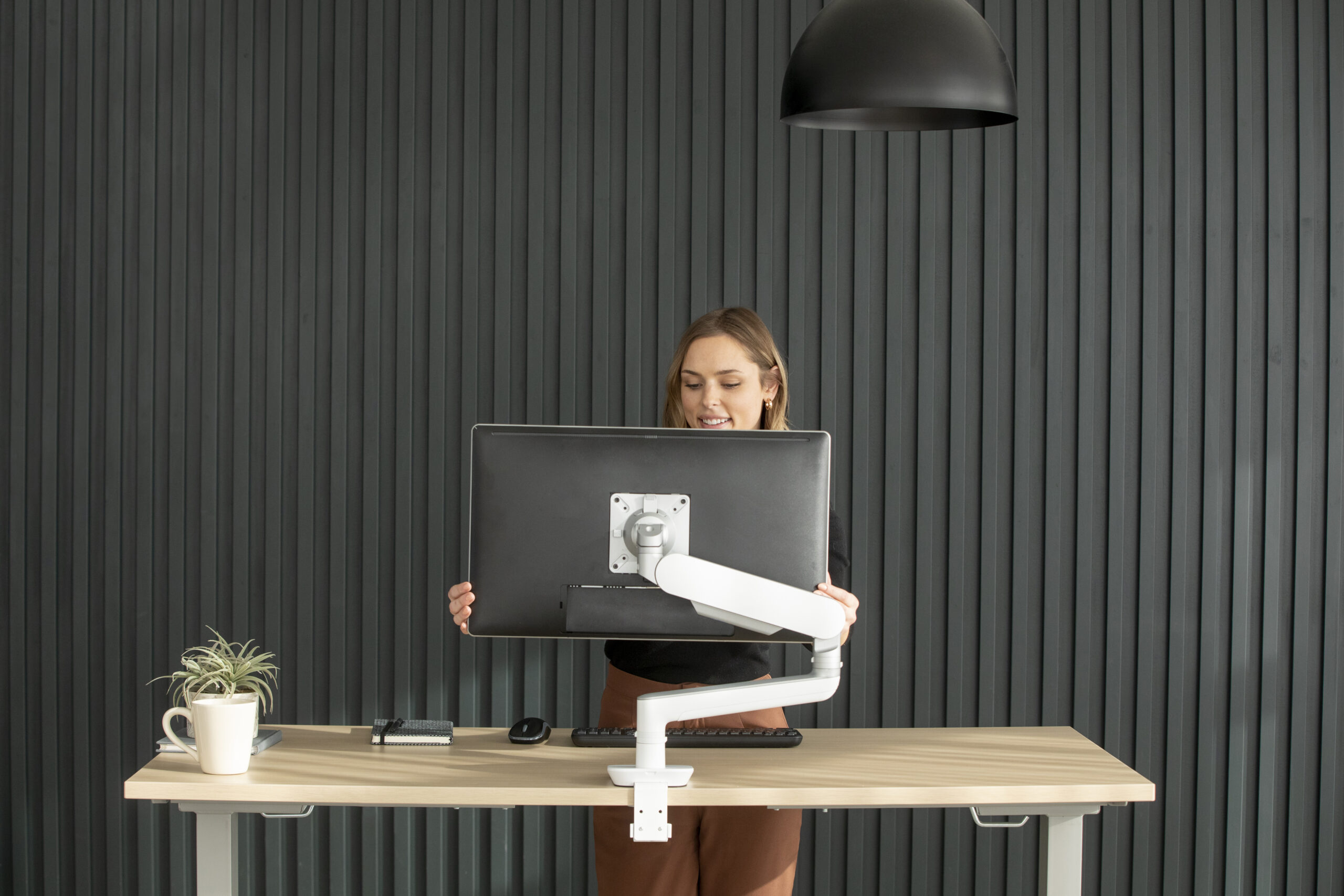 Fellowes Rising Monitor Arms - Watson Commercial